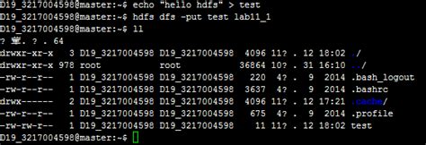 Hadoop大数据分析实验（一）——hdfs基本操作大数据分析技术上机实验报告 Csdn博客