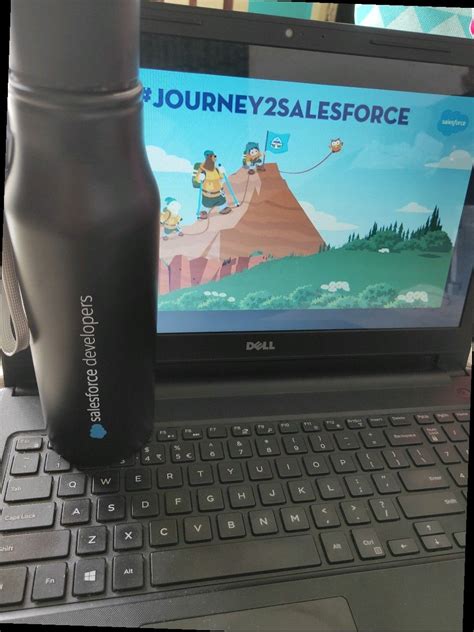 Sanket Mahalle On Linkedin Trailhead Salesforcedeveloper