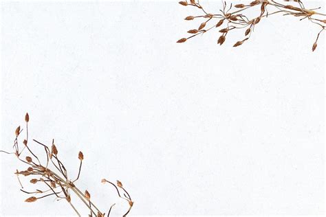 Natural Dried Leaf Frame Design Premium Psd Rawpixel