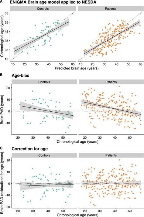 Brain Age Prediction A Correlation Between Predicted Brain Age And