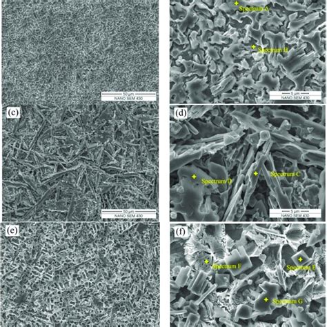 Crystal Structures Of A TiC And B TiB 2 Download Scientific Diagram