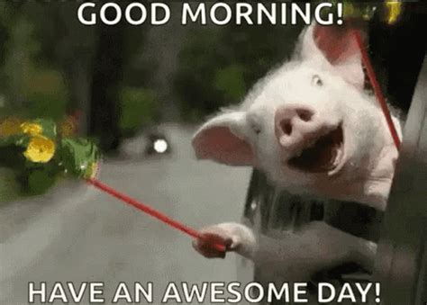 Funny Have A Good Day S Tenor