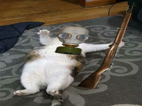 Falls 2 4 Addon S T A L K E R Anomaly Mod For S T A L K E R Call Of Pripyat ModDB