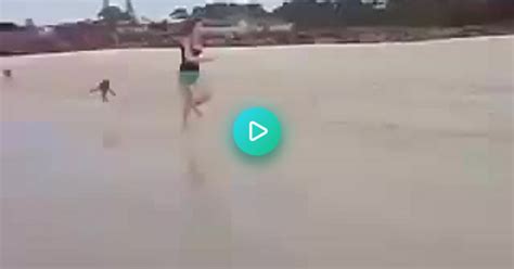 Adorable Kangaroos Album On Imgur