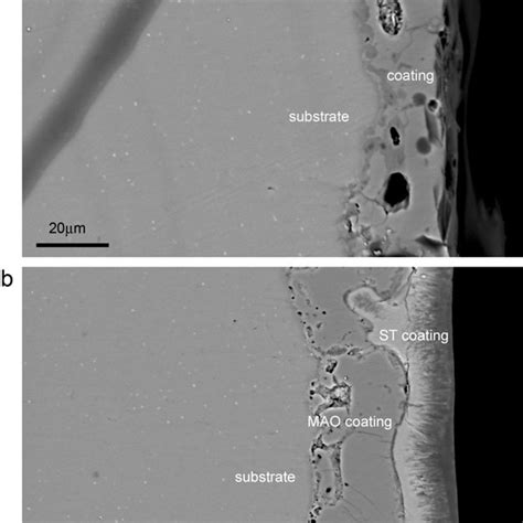 Cross Section Morphologies Of The Coatings A Mao Coating And B Download Scientific