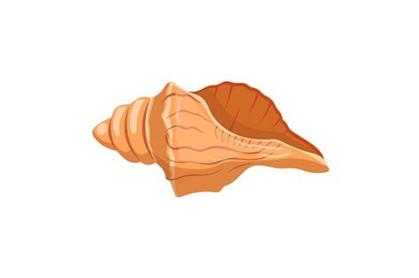 Shell Sea Cartoon Vector Artofit