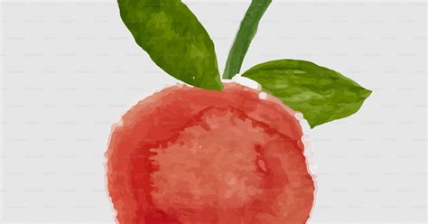 녹색 잎이 있는 빨간 사과의 수채화 그림 벡터 Unsplash의 수채화 이미지