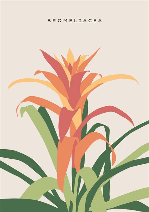 Постеры и картины ”ТРОПИЧЕСКОЕ РАСТЕНИЕ ” купить в Санкт Петербурге по цене 290 ₽ 3480