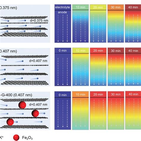 Comsol Multiphysics Simulations Of K⁺ Ion Transport Kinetics In A G Download Scientific