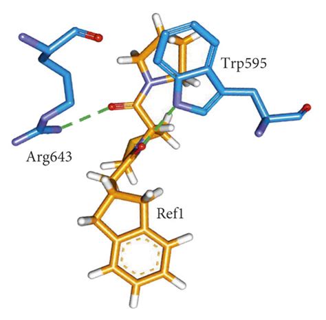 Molecular Docking Based Intermolecular Interactions Upper Panel Ac Download Scientific