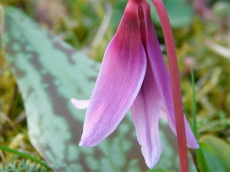 Adam Horvath Photography