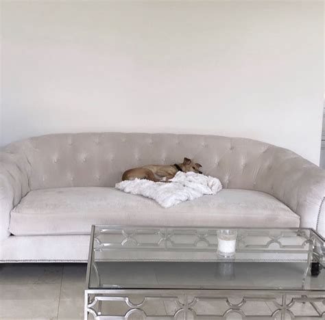 Ariana Grande Couch Amber Scholl Home Aesthetic Ariana Grande White