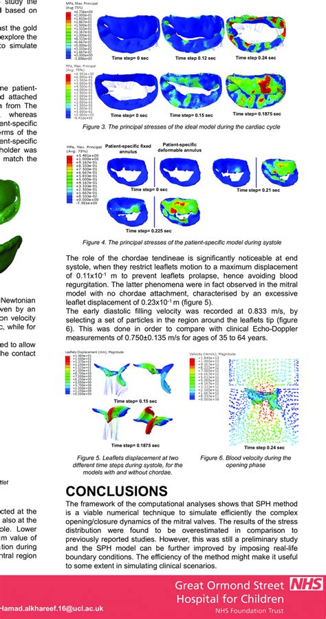 The Ideal And Patient Specific Mitral Valve Models Download