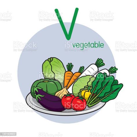 알파벳 문자 V 어퍼 케이스 또는 어린이 학습 연습 Abc를위한 대문자와 야채의 벡터 그림 가지 채소에 대한 스톡 벡터 아트 및 기타 이미지 가지 채소 건강한 식생활