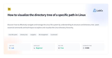 How To Visualize The Directory Tree Of A Specific Path In Linux Labex