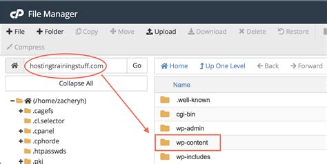 Uploading Wordpress Theme Through File Manager Knowledge Base