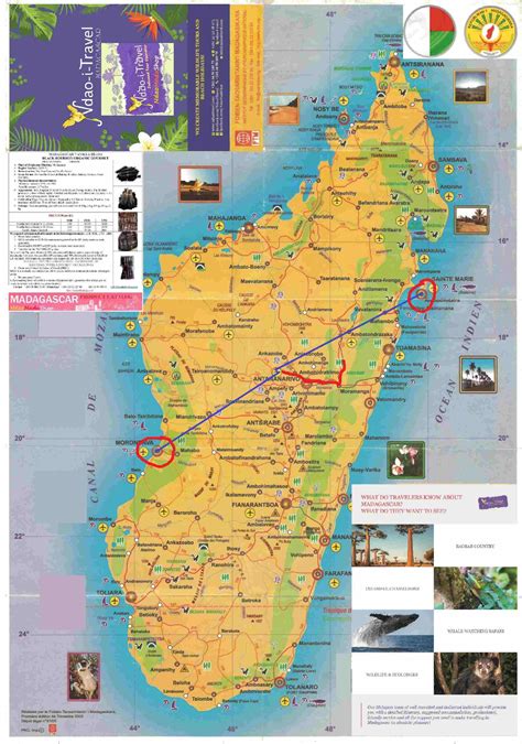 Avenue Of The Baobabs Alley Of The Baobabs Ndao I Travel Madagascar Tours