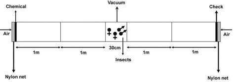 Two Choice Olfactometer For Oviposition Bioassay Of Plant Extracts