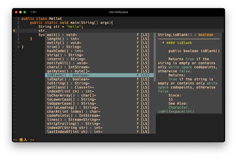 从零开始vim搭建java开发环境之cocnvim 篇vim可以编写java吗 Csdn博客