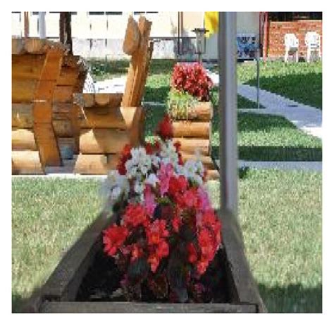 The Fusion Results Of “flower” A Pcnn B Contourlet C Gan D