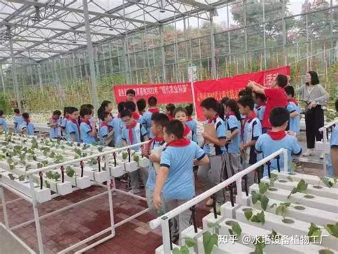 看看这个无土栽培项目，了解水培种植方法 知乎