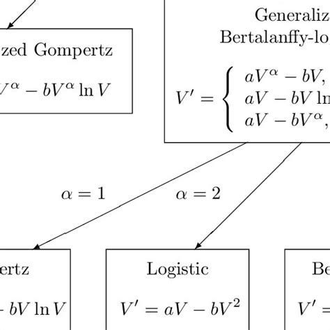 Pdf Mathematical Models Of Tumor Growth