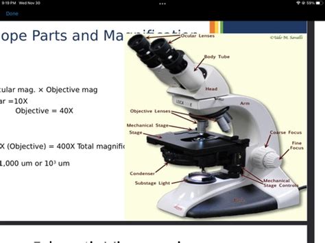 Micro Lab Final Flashcards Quizlet Micro Lab Final Flashcards Quizlet