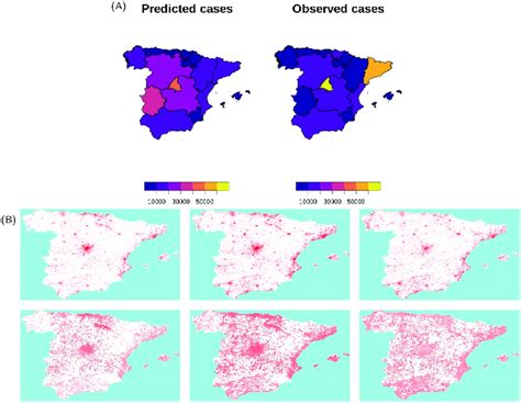 A Comparison Between Predicted And Observed Spatial Spread Of Download Scientific Diagram