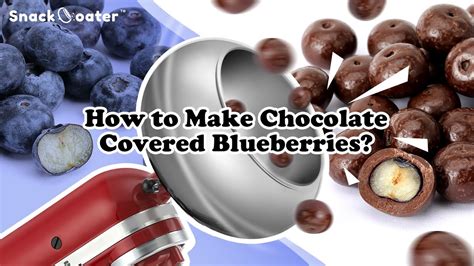 How To Make Dark Chocolate Covered Blueberries With Snack Coater Youtube