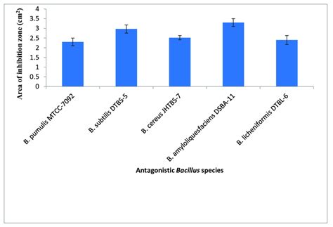 The Antagonistic Ability Of Bacillus Spp Against R Pseudosolanacearum Download Scientific