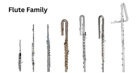 Ultimate Guide To 15 Types Of Flutes Best Pictures And Video