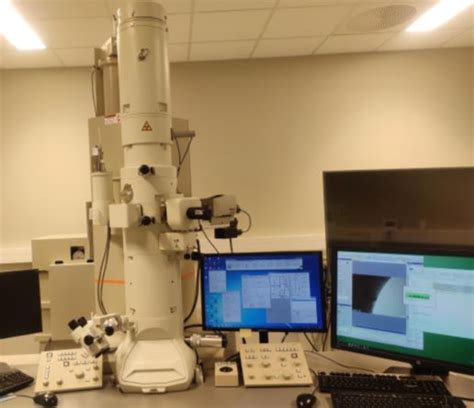 Transmission Electron Microscope Jeol 2100 Download Scientific Diagram