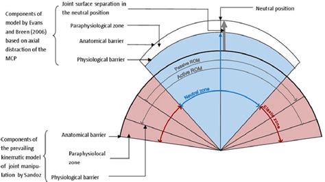 [pdf] The Effect Of Long Axis Manipulation Of The Third Metacarpophalangeal Joint On Articular