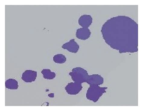 Different Clustering Results In Terms Of Different Bandwidth Bw