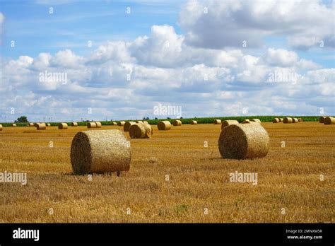 Fields Near Bad Wünnenberg Landscape With A Wide View And Round Bales