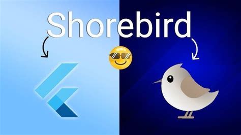 Sami Ullah Durrani On Linkedin Flutter Shorebird Playstore Cleancode
