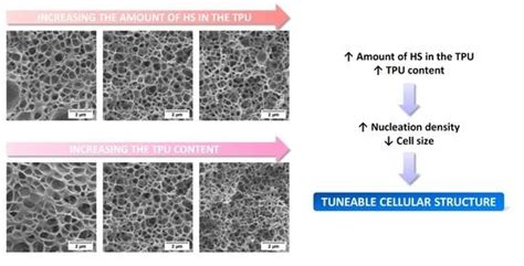 Ismael Sánchez Calderón On Linkedin Effect Of The Molecular Structure Of Tpu On The Cellular