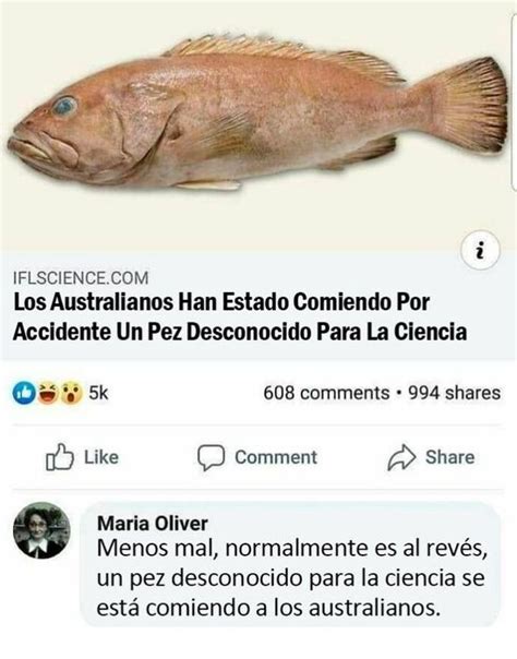 Top Memes De Pescado En Español Memedroid