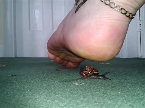Squashed Flat