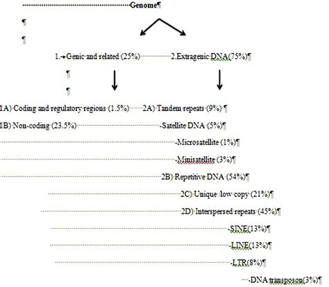Classification Of Human Genome Download Scientific Diagram
