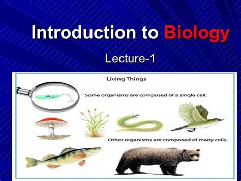 Biology Lecture 1
