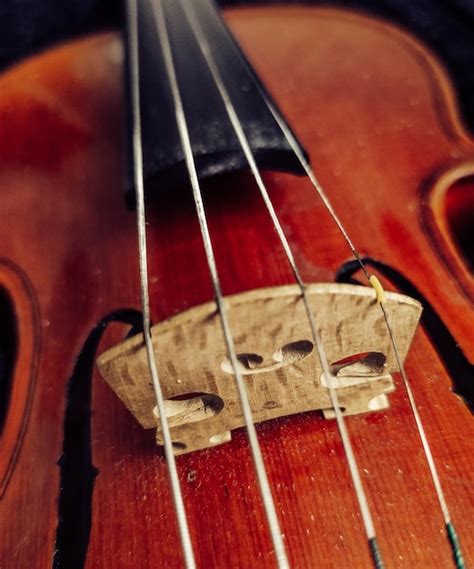 Premium Photo A Violin Has A String That Has The Word Violin On It