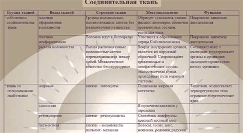 АЛЬПАМ ПРОДУКТЫ Никитина Любовь Кимовна - YouTube