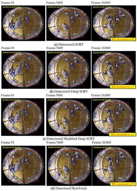 Sensors Free Full Text Customized Tracking Algorithm For Robust Cattle Detection And