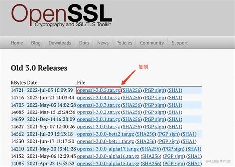 Wsl（linux）上安装openssl编译静态库及其使用本文讲述在 Wsl（linux）上安装 Openssl 开源库 掘金