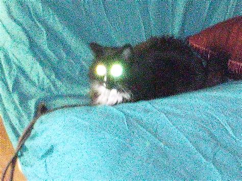 Blix My Goblin Boi R Lasereyedcats