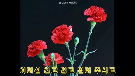 어머니의 마음 한국가곡 양주동 작사 이흥렬 작곡 오카리나 연주 정 진경 파라미타 오카리나 Youtube