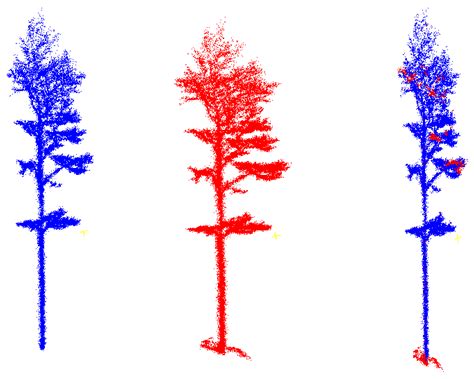 Remote Sensing Free Full Text Point2treep2t—framework For Parameter Tuning Of Semantic And