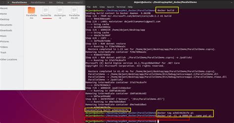 No Executable Found Matching Command Dotnet Dll After Issuing Docker Run Command Stack