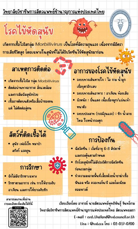 📣โรคไข้หัดสุนัขเกิดจากเชื้อไวรัสกลุ สัตวแพทยสภา ประเทศไทย